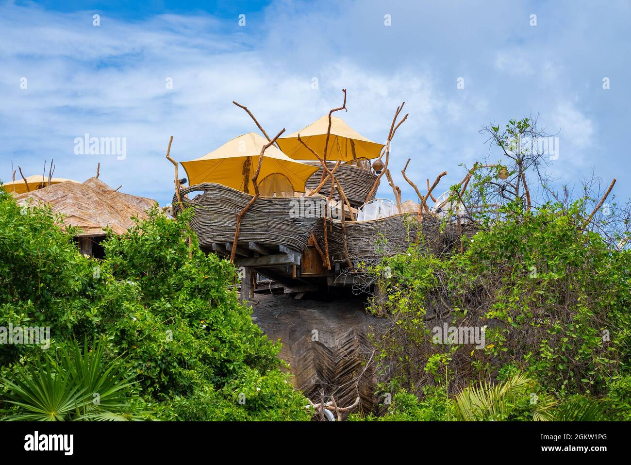 Canopy design hi-res stock photography and images - Alamy