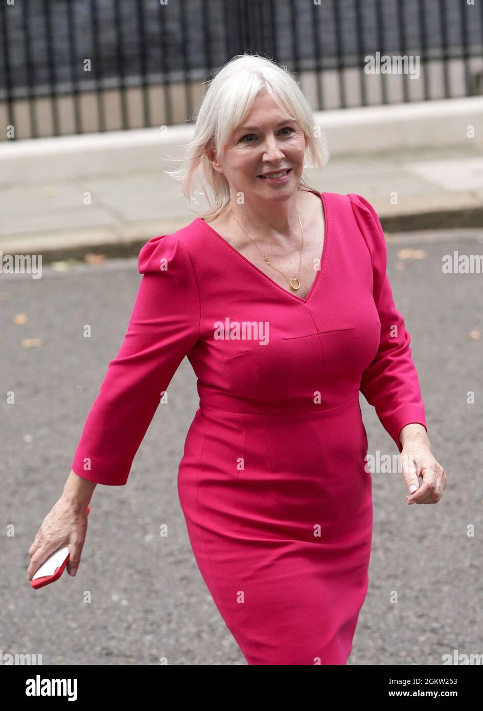 Newly appointed Culture Secretary Nadine Dorries leaves 10 Downing Street, London, as Prime ...