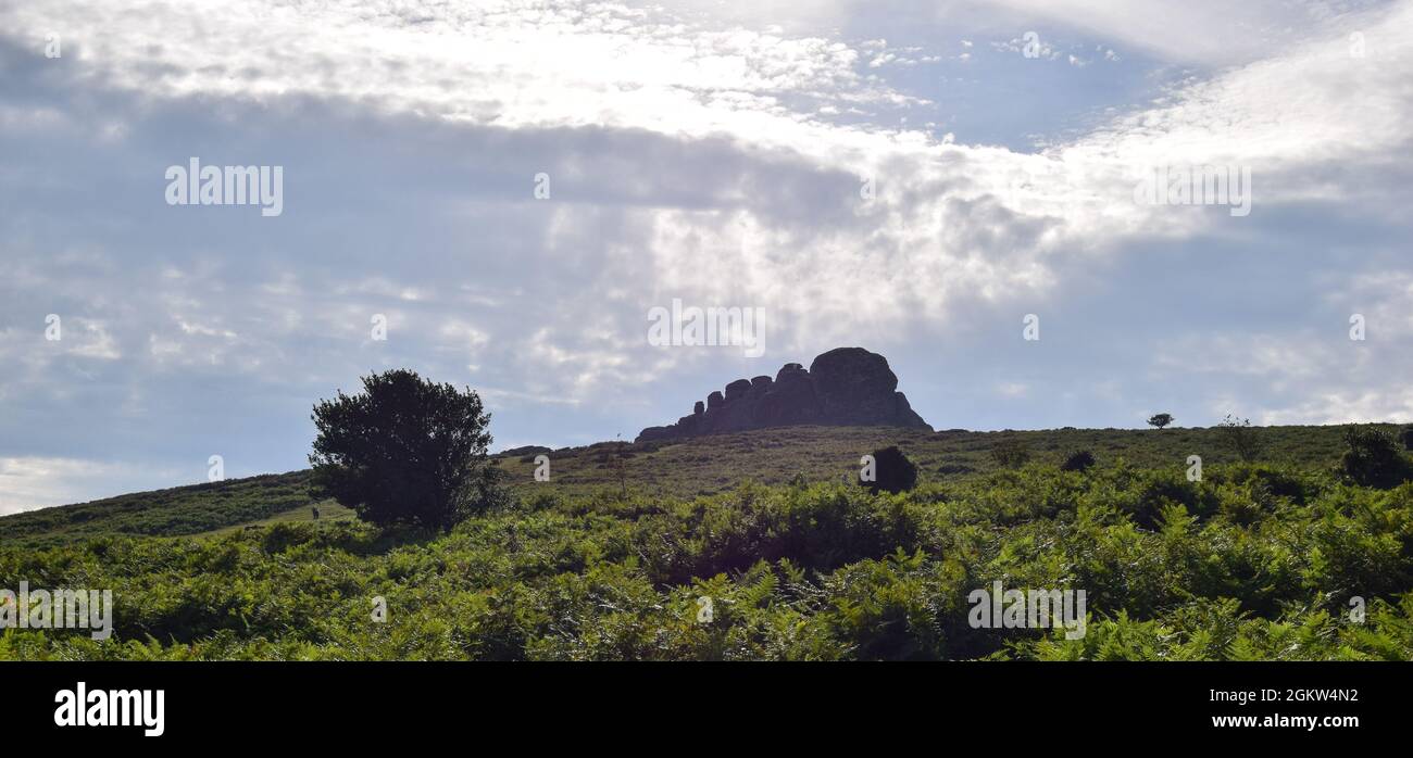 Haytor Rocks, Haytor 070921 Stock Photo - Alamy