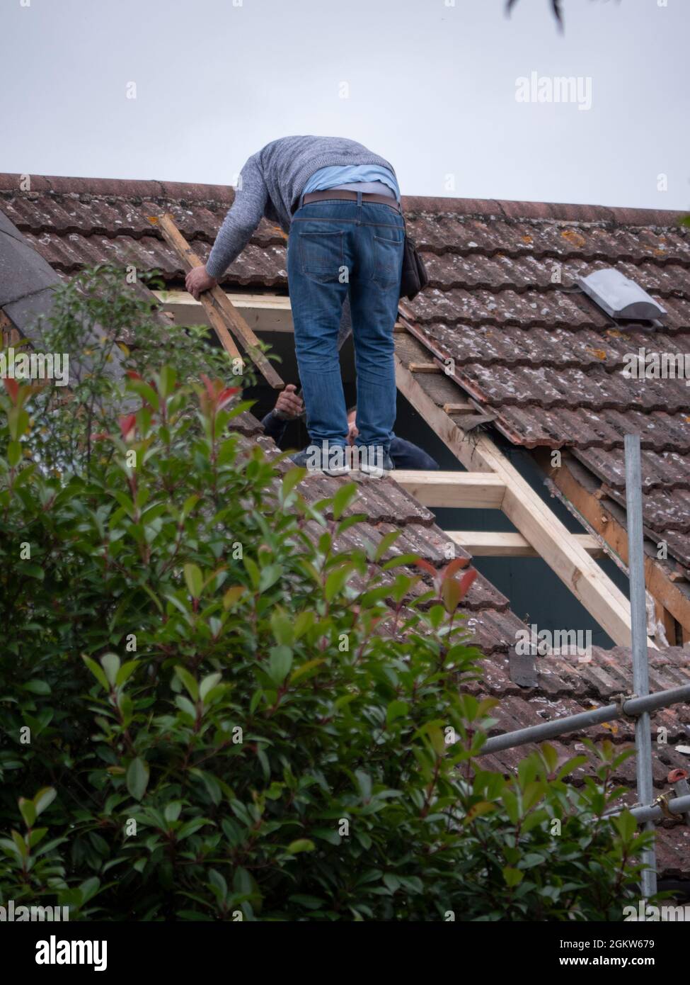 loft extension, builders breaking roof to install window on loft ...
