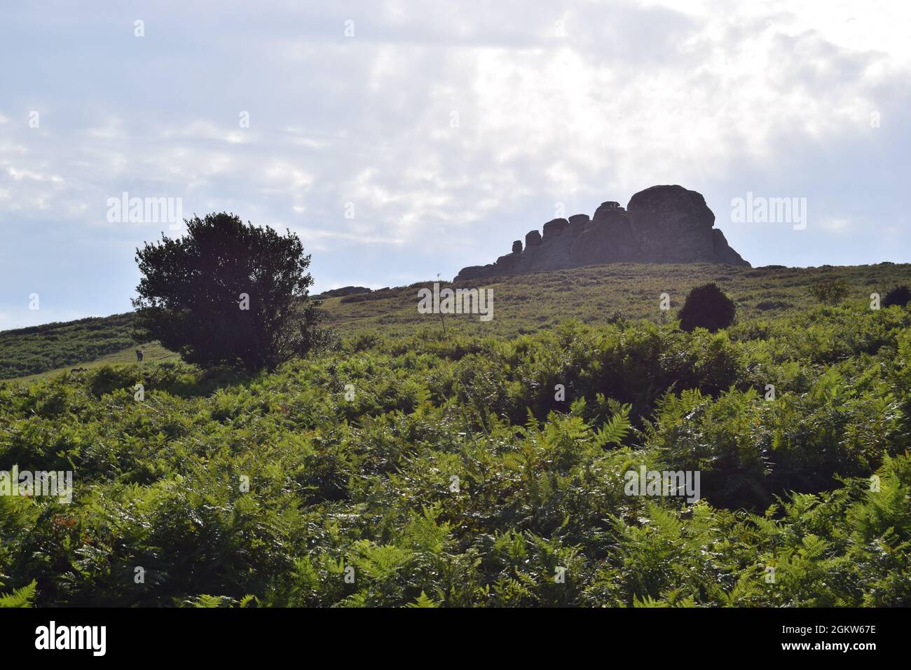 Haytor Rocks, Haytor 070921 Stock Photo - Alamy