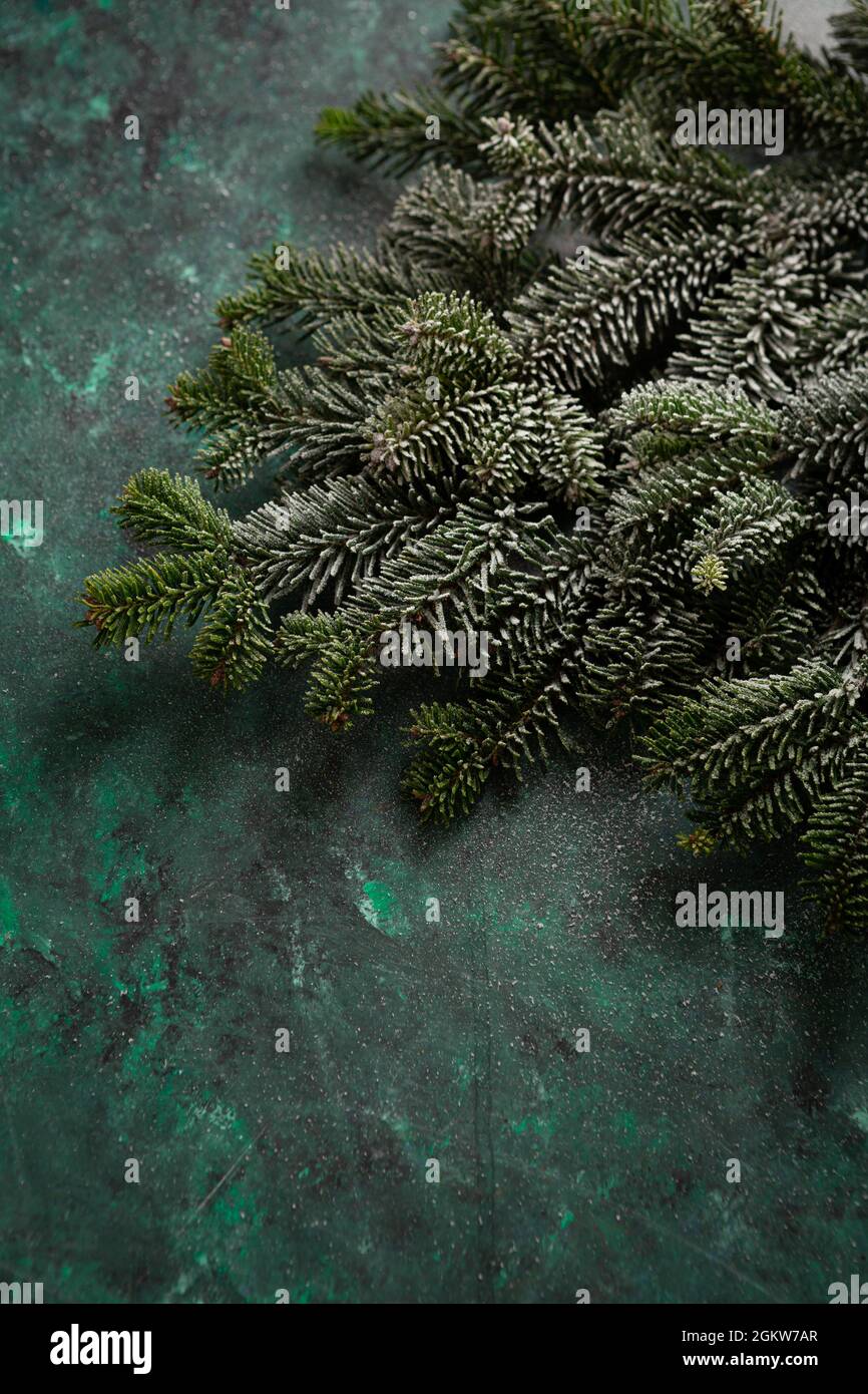 Green holiday background with evergreen branch copy space Stock Photo ...
