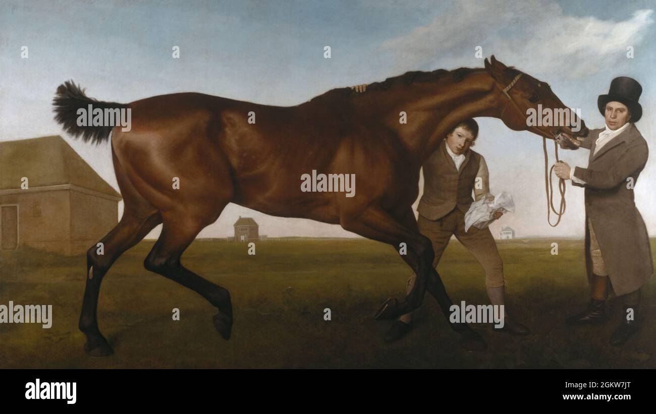 Vintage George Stubbs horse painting art Stock Photo - Alamy