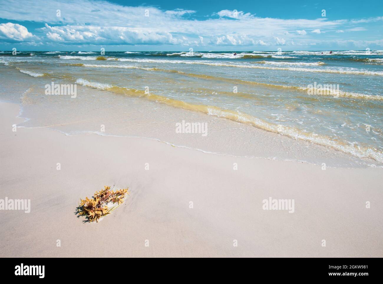Dueodde, the white sandy beach on the south coast of Bornholm, Denmark ...