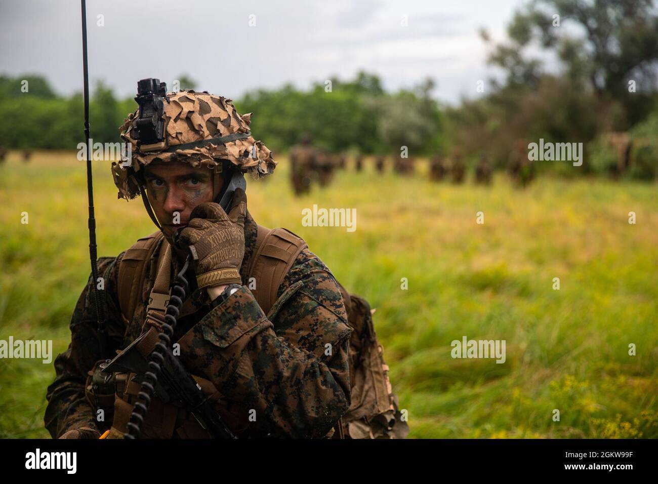 Radio transmitter on bird hi-res stock photography and images - Alamy
