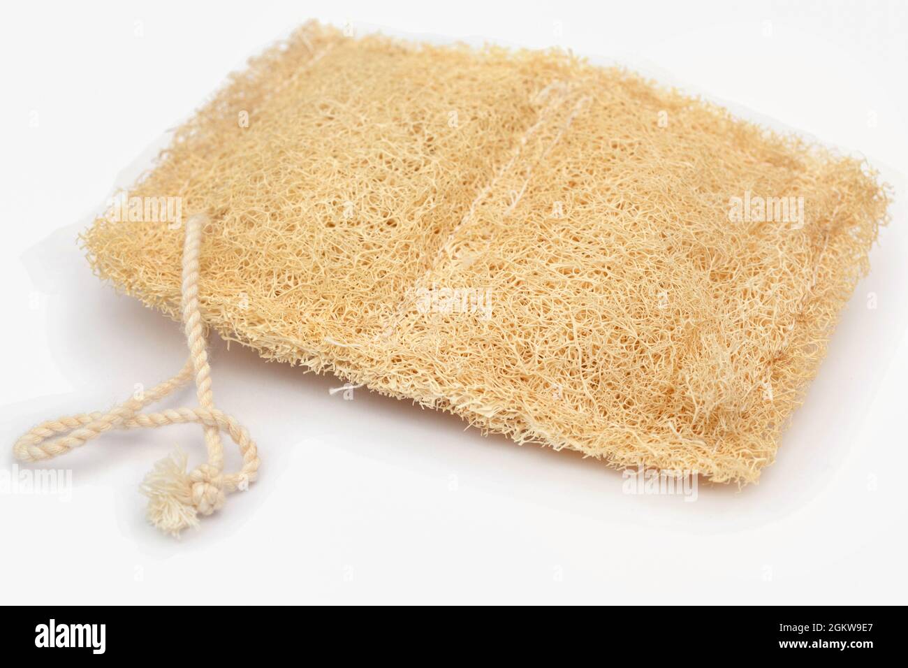Natural scrubber of dried Ridge gourd over white background Stock Photo ...