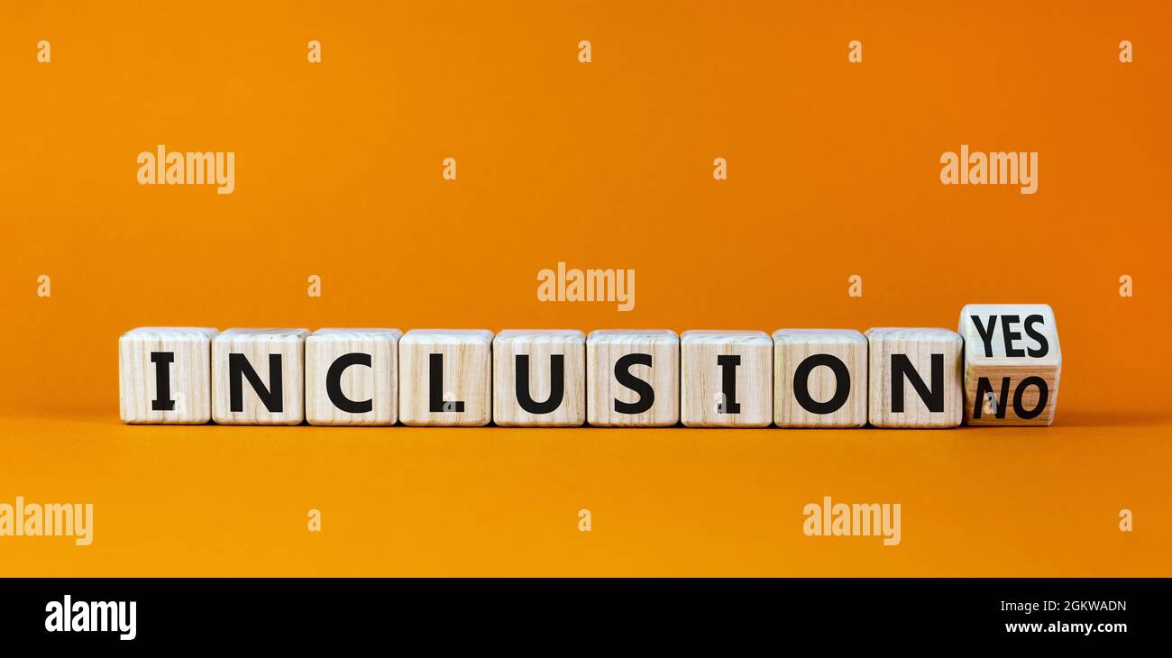 Inclusion yes or no symbol. Turned a wooden cube and changed words ...