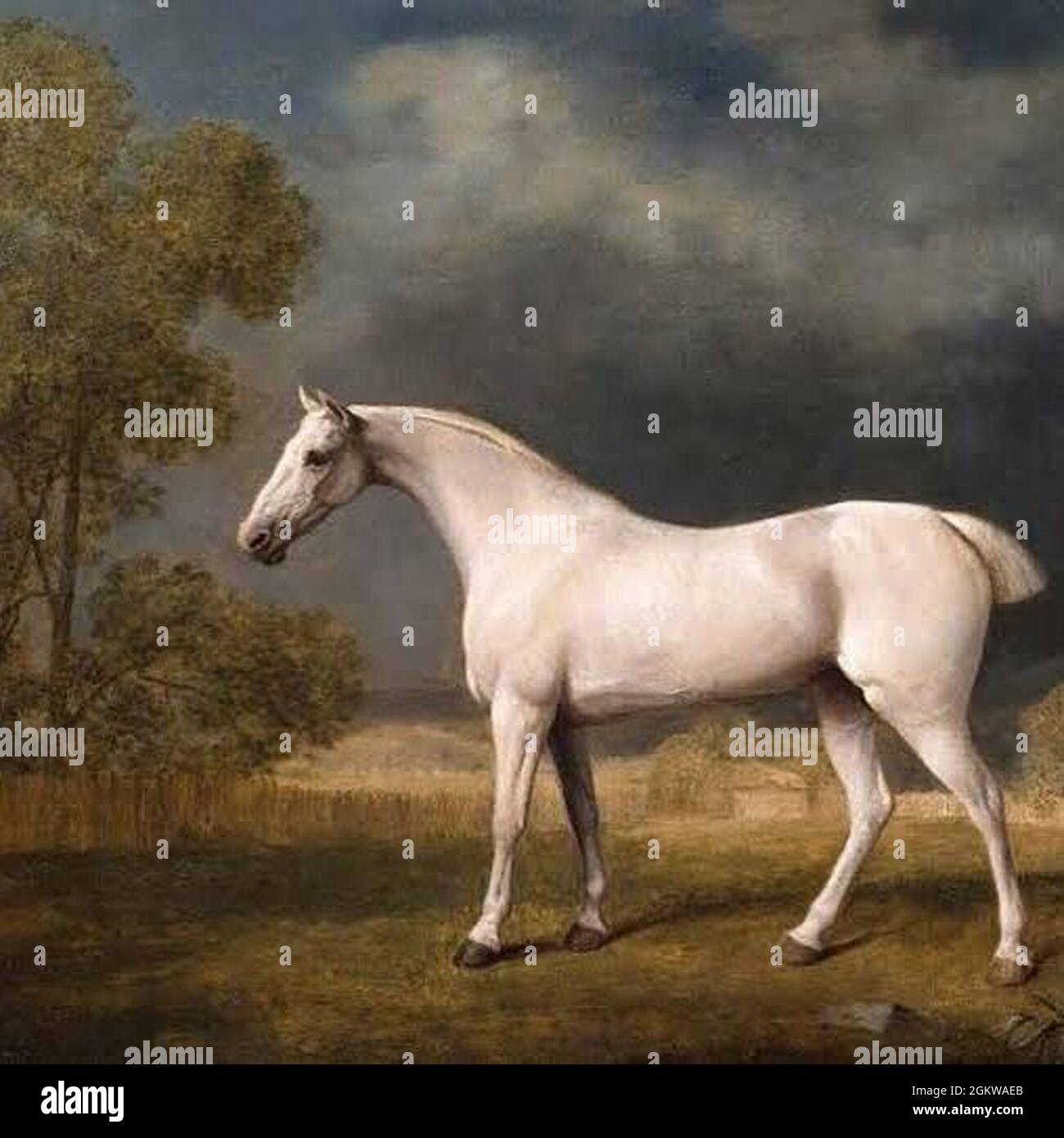 George stubbs painting hi-res stock photography and images - Alamy