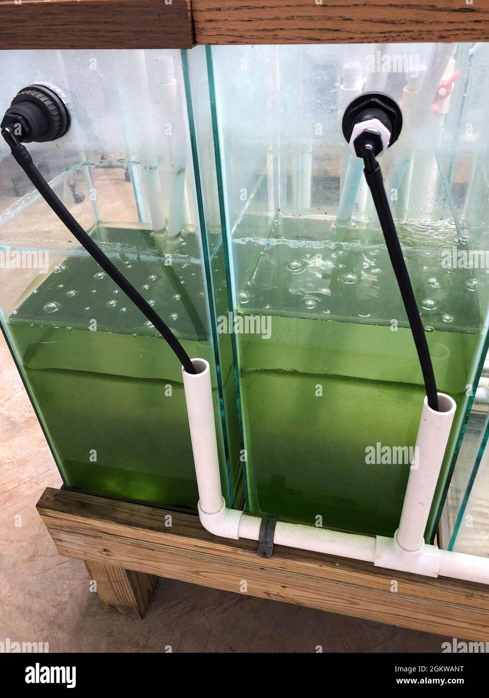 Researchers in the U.S. Army Engineer Research and Development Center’s ...