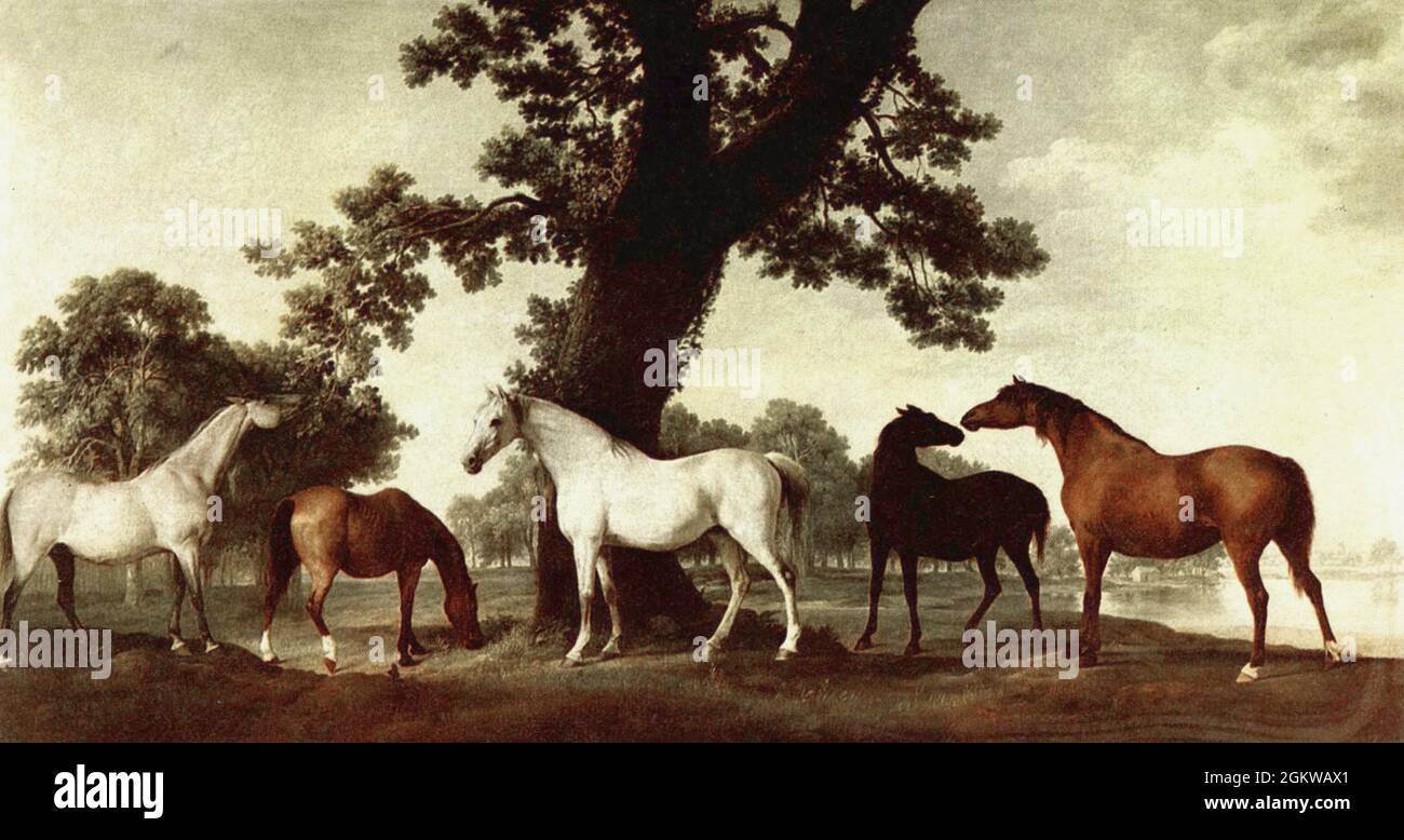 Vintage George Stubbs horse painting art Stock Photo - Alamy