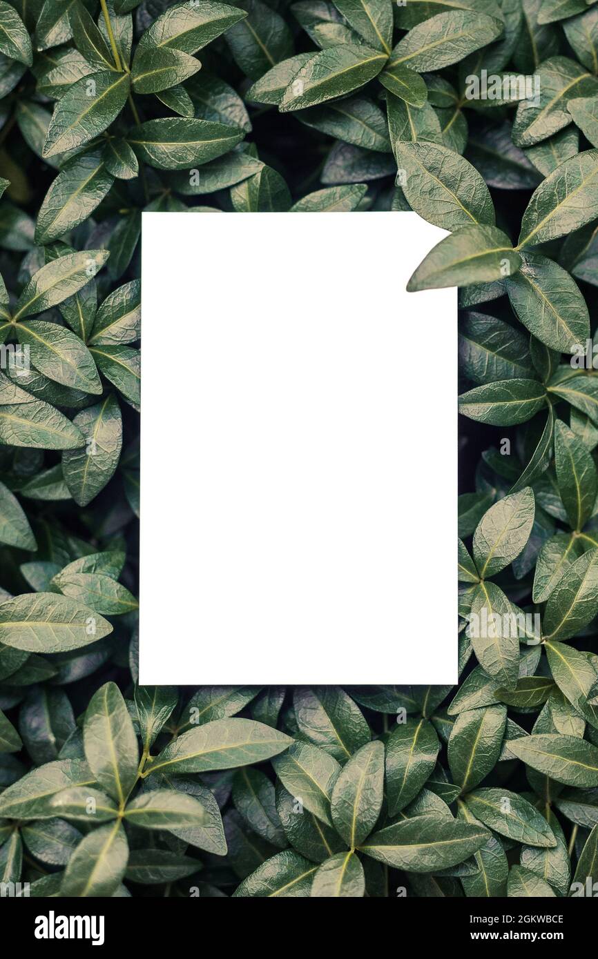 Plant layout hi-res stock photography and images - Alamy