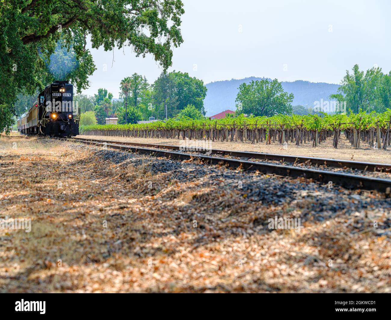 Napa Valley Wine Train excursions through the vineyards Stock Photo - Alamy