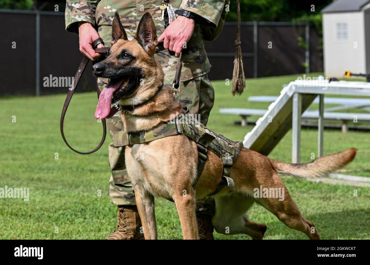 U.S. Army Specialist Taylor Blanton, 3rd Military Police Detachment ...