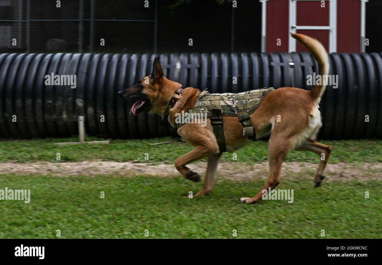 U.S. Army Specialist Taylor Blanton, 3rd Military Police Detachment ...