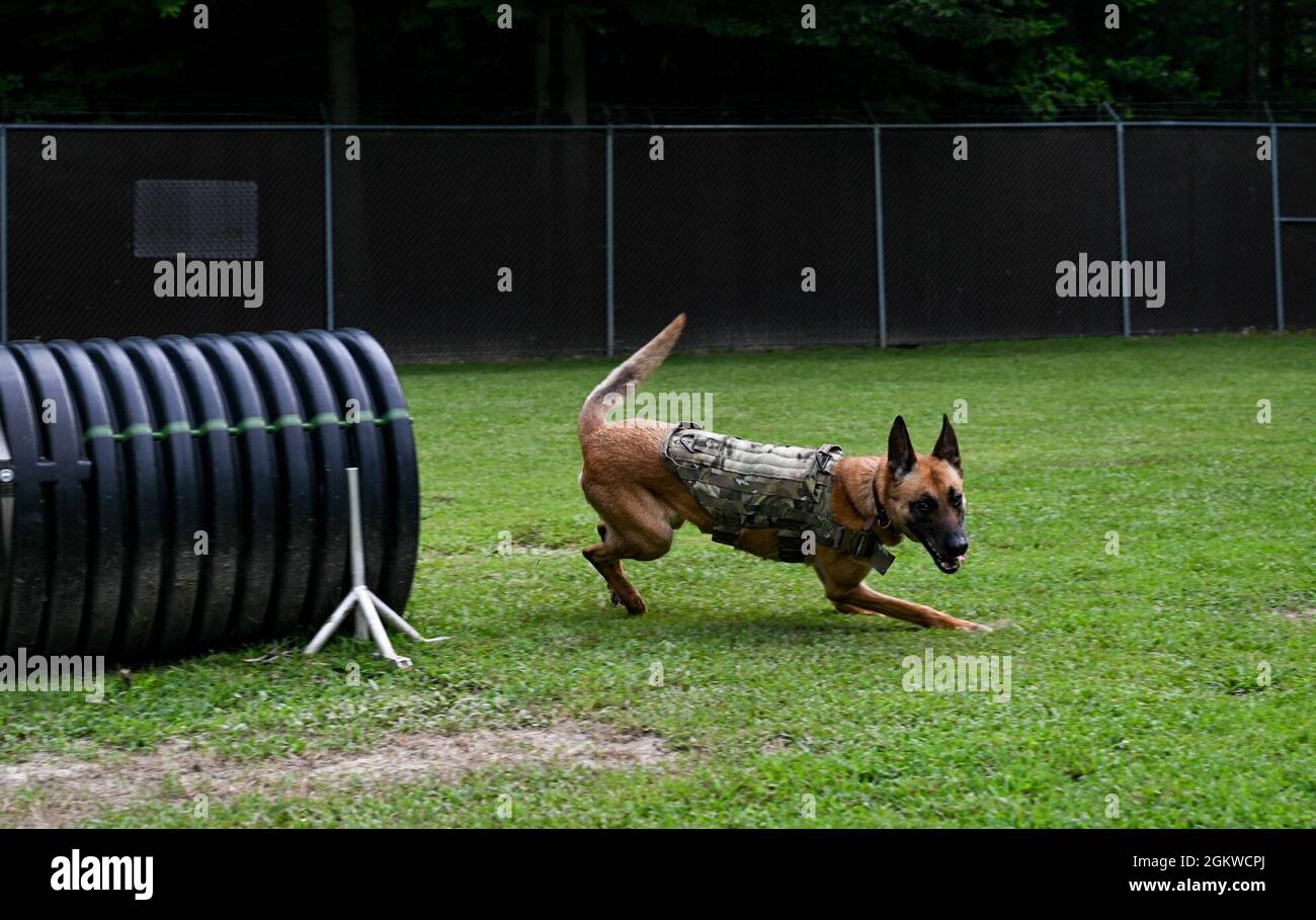 U.S. Army Specialist Taylor Blanton, 3rd Military Police Detachment ...