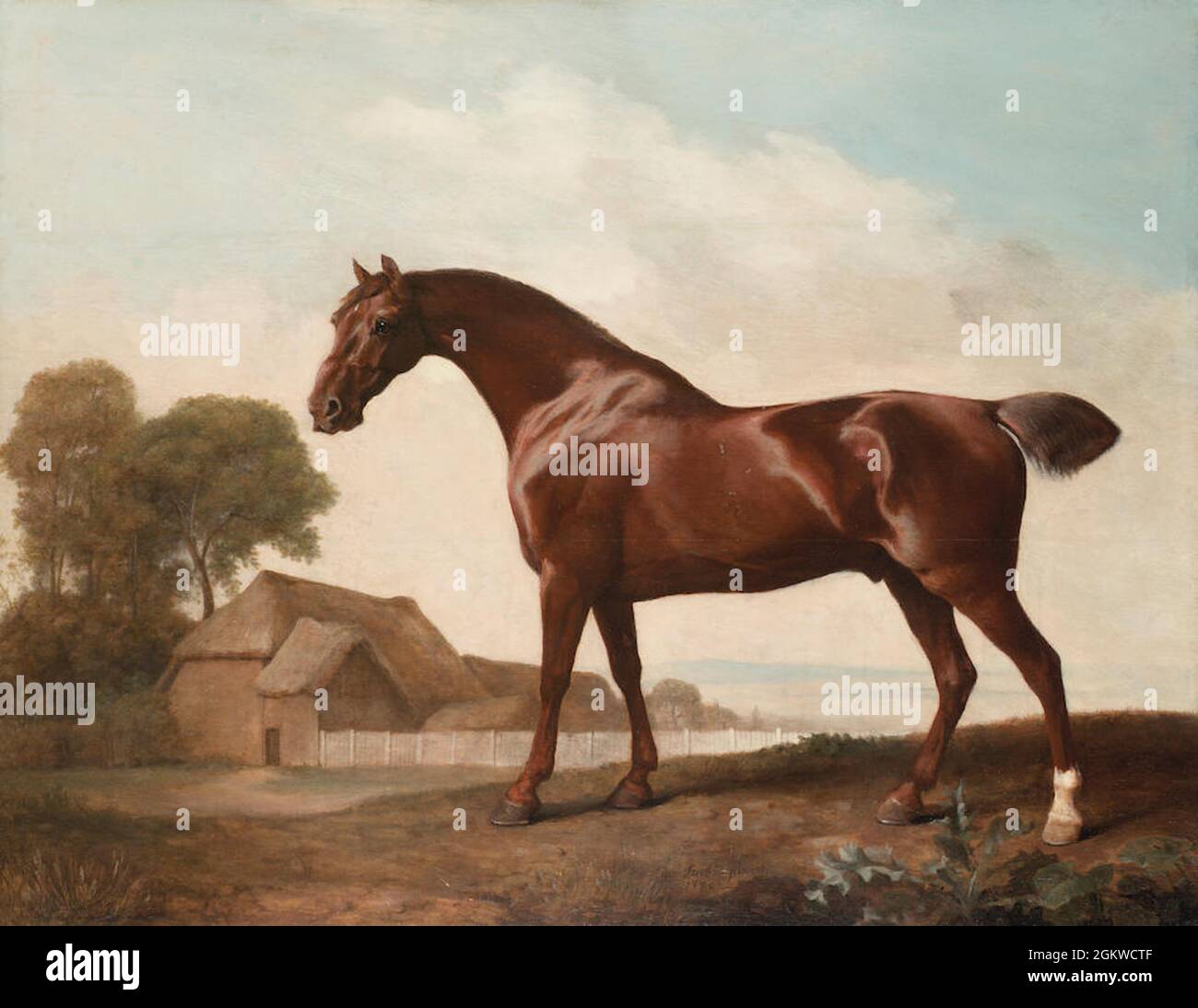 Vintage George Stubbs horse painting art Stock Photo - Alamy