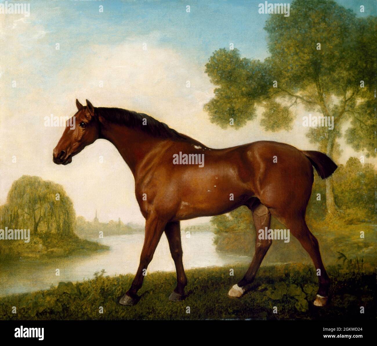Vintage George Stubbs horse painting art Stock Photo - Alamy