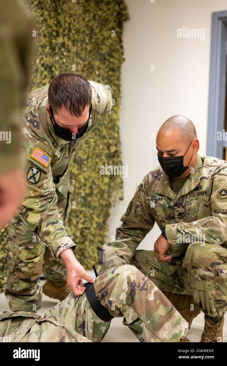 351st regiment hi-res stock photography and images - Alamy