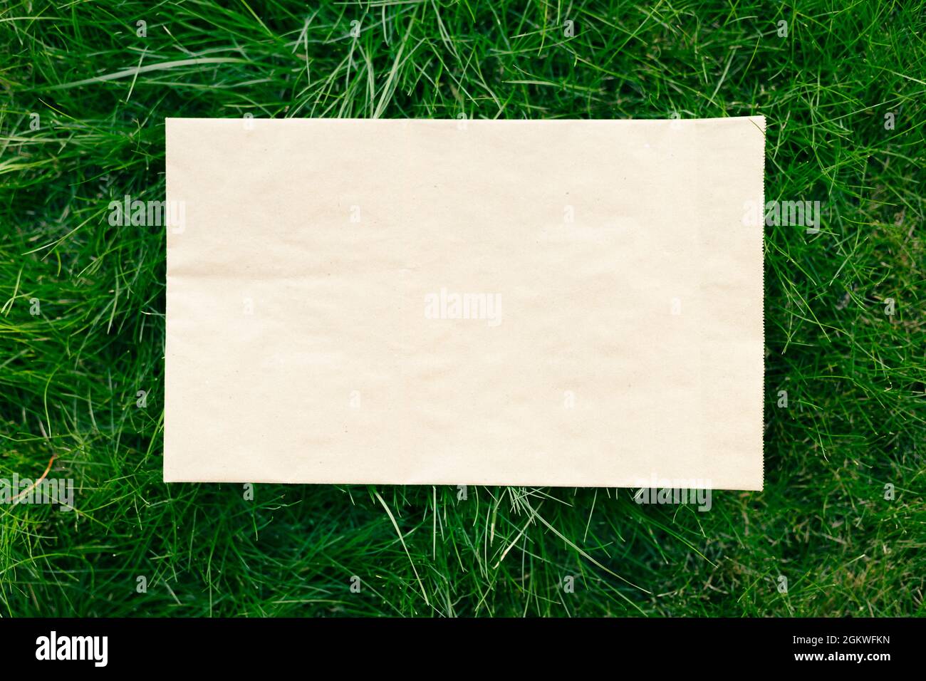 creative layout composition frame made of green lawn grass with a craft ...