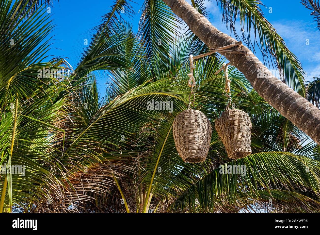 Coconut craft hi-res stock photography and images - Alamy