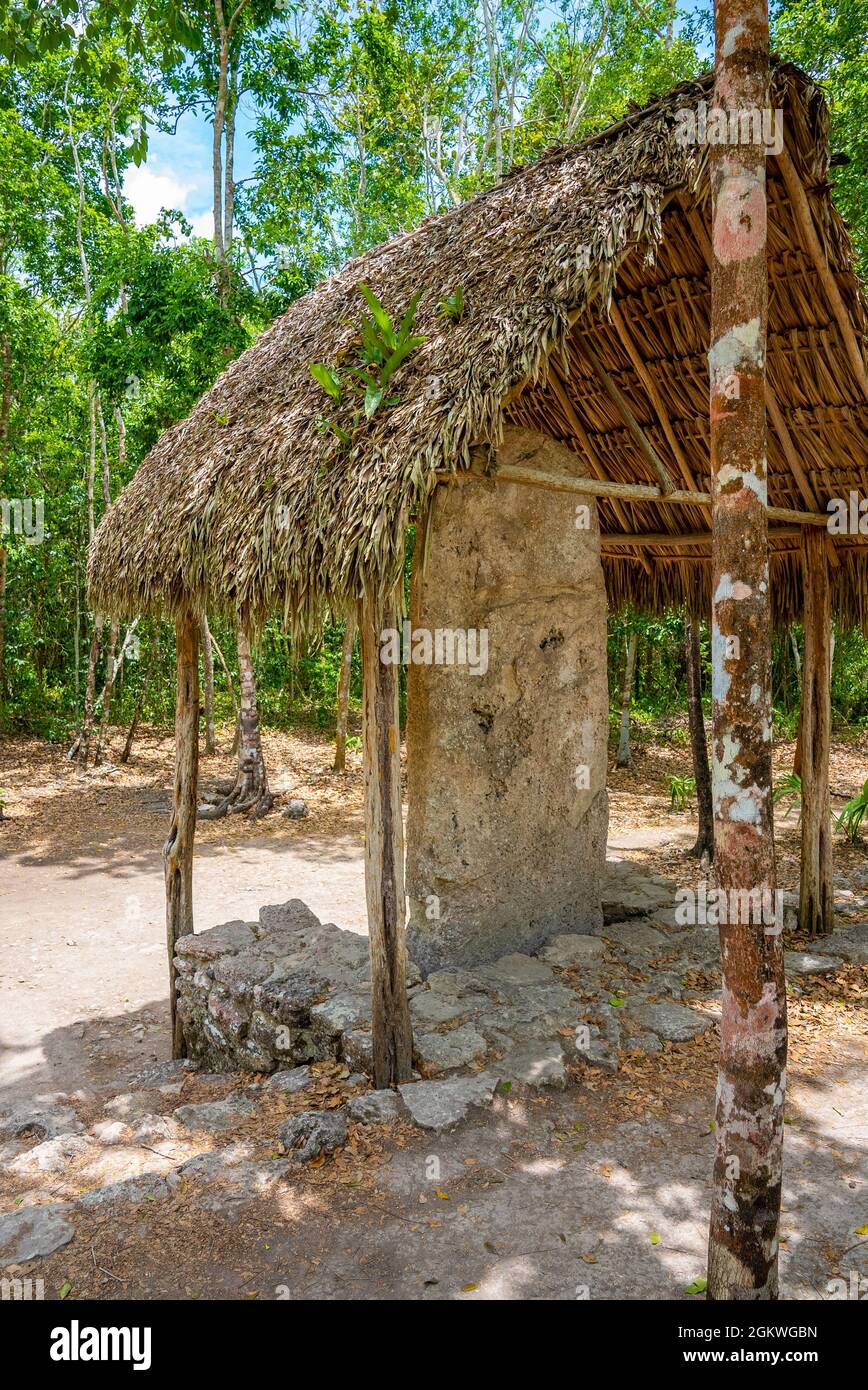 Coba mexico stele hi-res stock photography and images - Alamy
