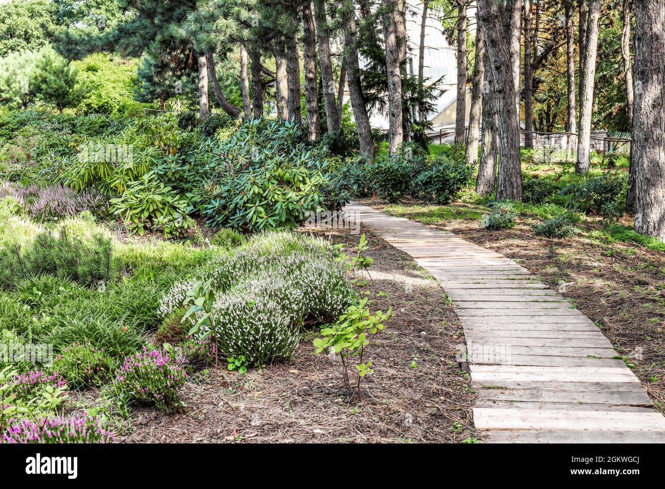 Beautiful view of green park Stock Photo - Alamy