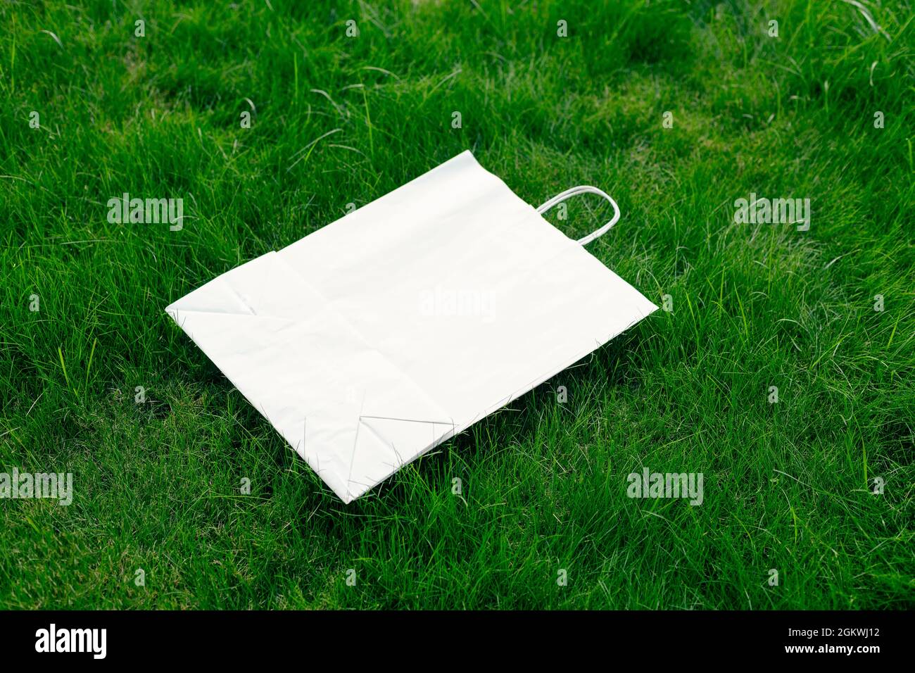 creative layout composition frame made of green lawn grass with craft ...