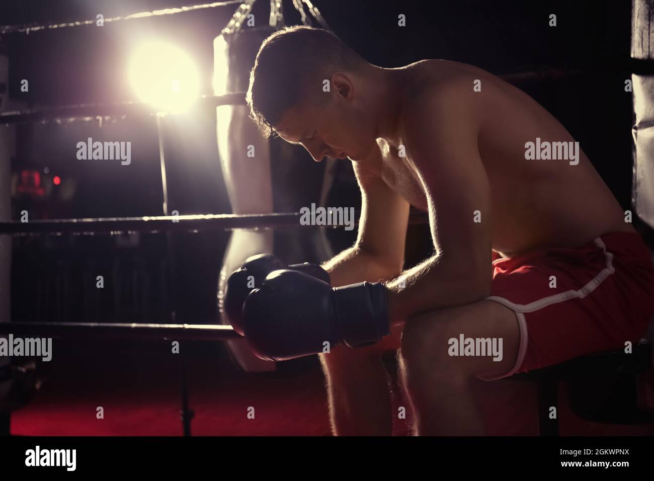 Professional boxer having break during training Stock Photo - Alamy