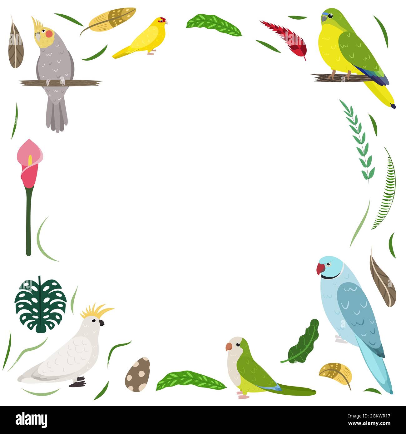 Frame template with cartoon exotic birds. Tropical rectangle ...