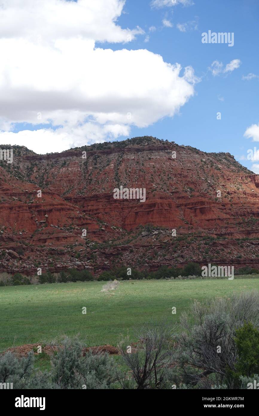 The dried arid lands of the South West offer a glimpse into natures ...