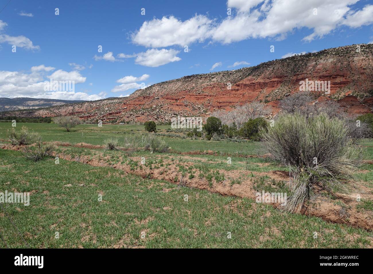 The dried arid lands of the South West offer a glimpse into natures ...