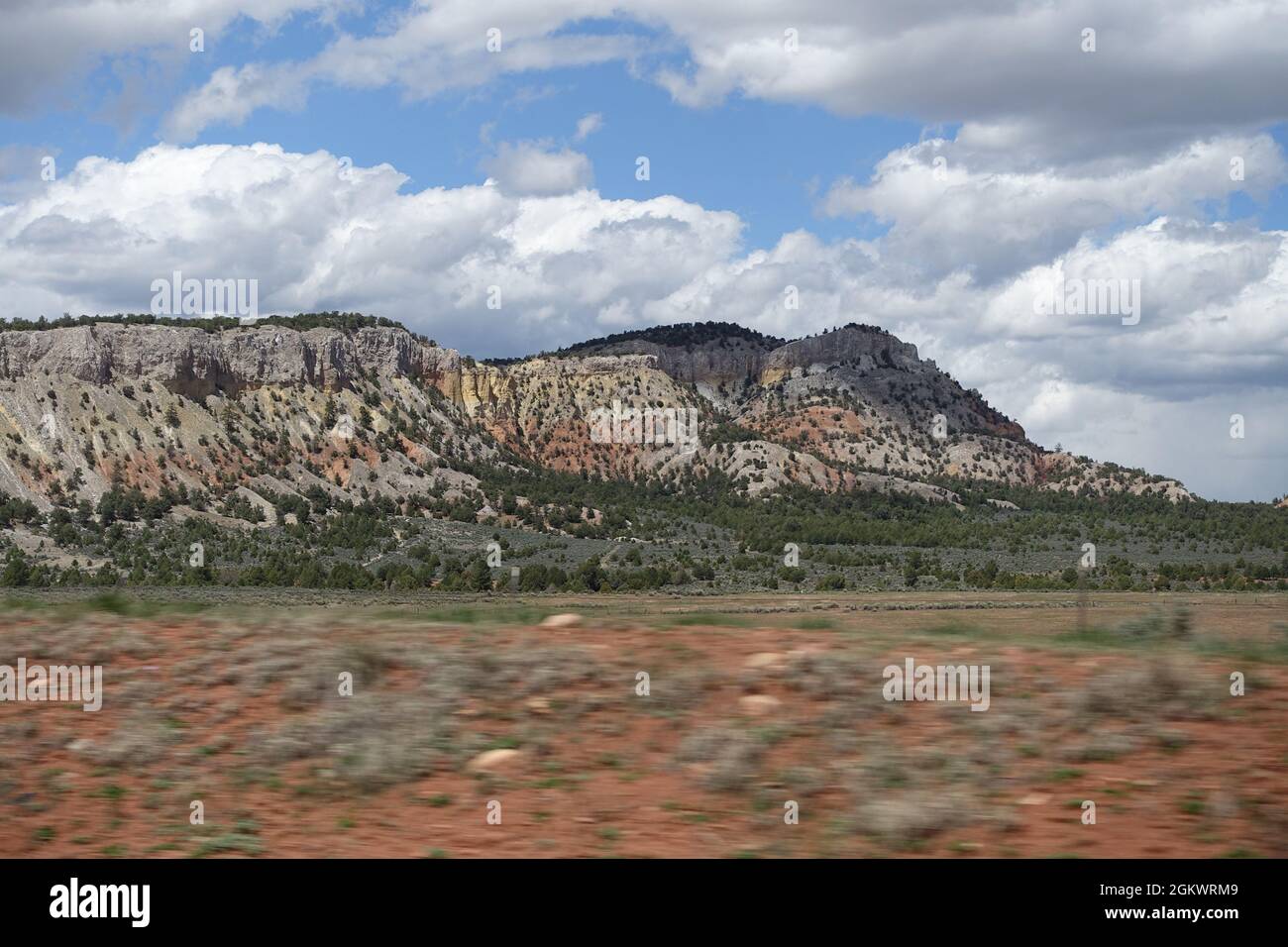 The dried arid lands of the South West offer a glimpse into natures ...