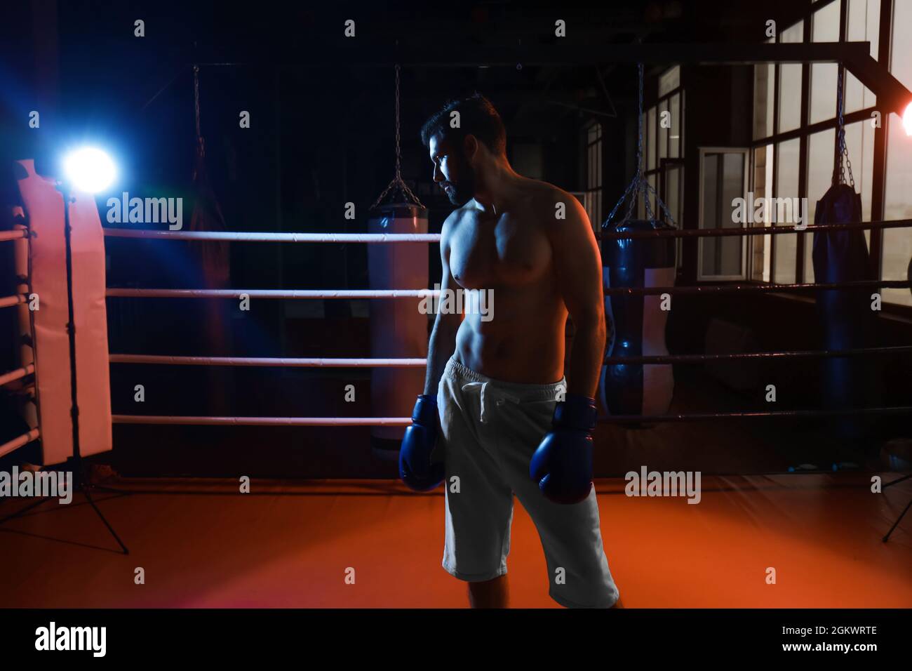 Young professional boxer in ring Stock Photo - Alamy