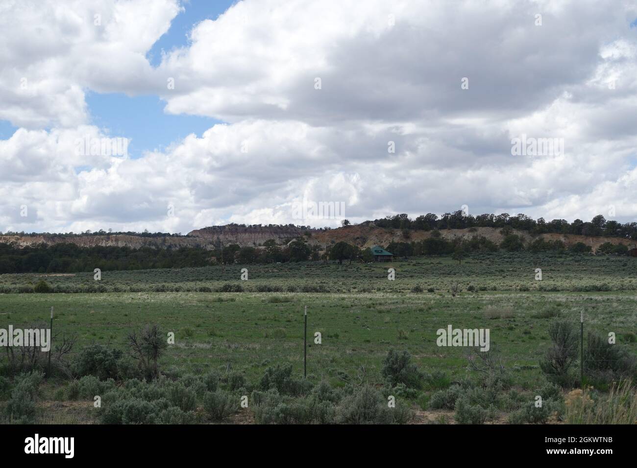 The dried arid lands of the South West offer a glimpse into natures ...