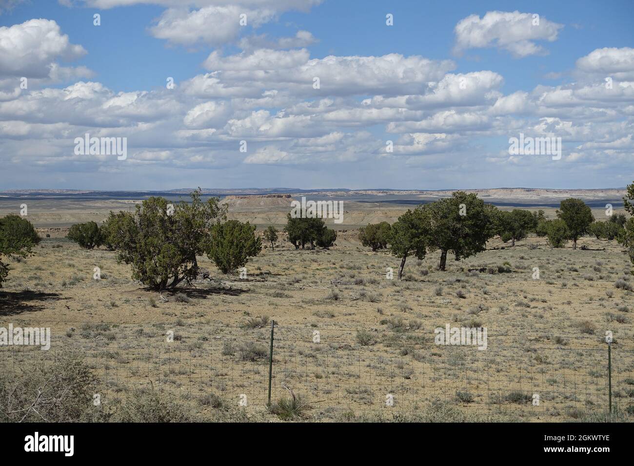 The dried arid lands of the South West offer a glimpse into natures ...