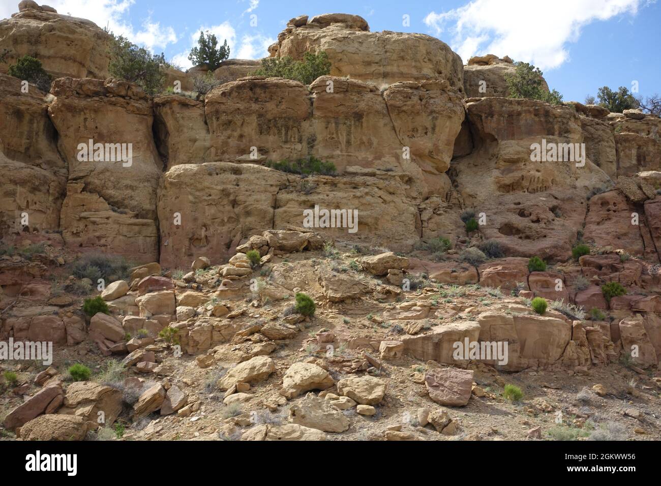 The dried arid lands of the South West offer a glimpse into natures ...