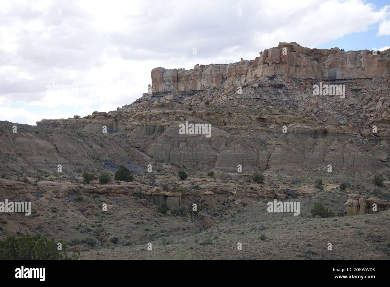 The dried arid lands of the South West offer a glimpse into natures ...
