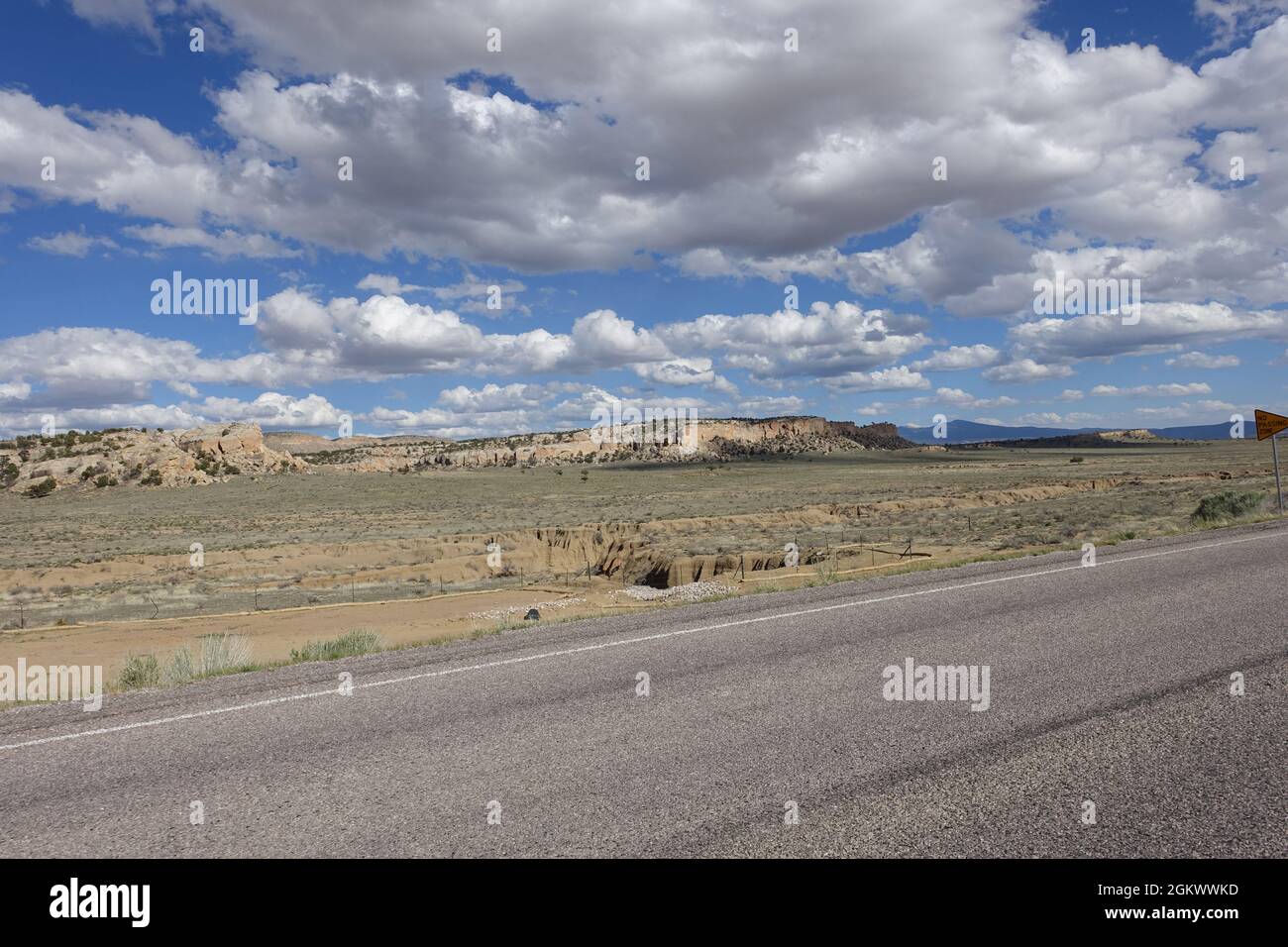 The dried arid lands of the South West offer a glimpse into natures ...