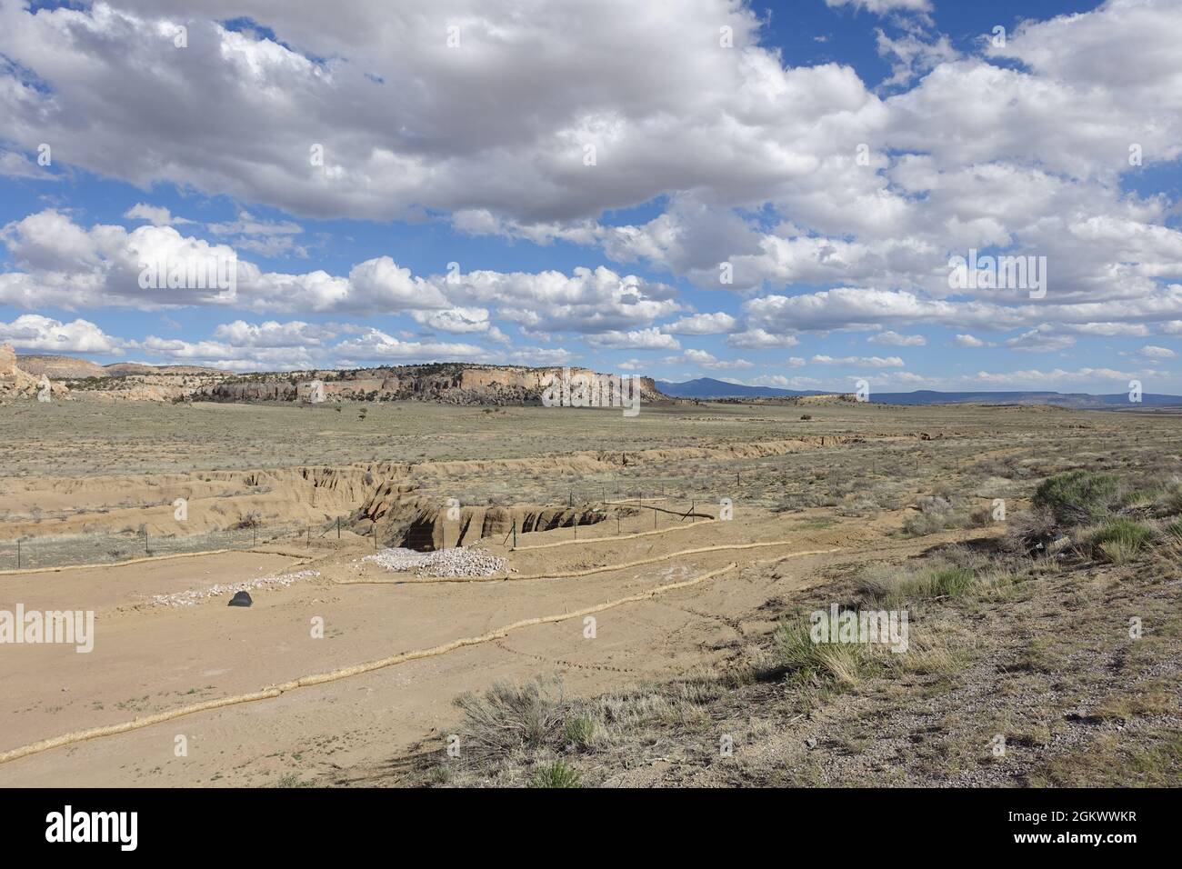 The dried arid lands of the South West offer a glimpse into natures ...
