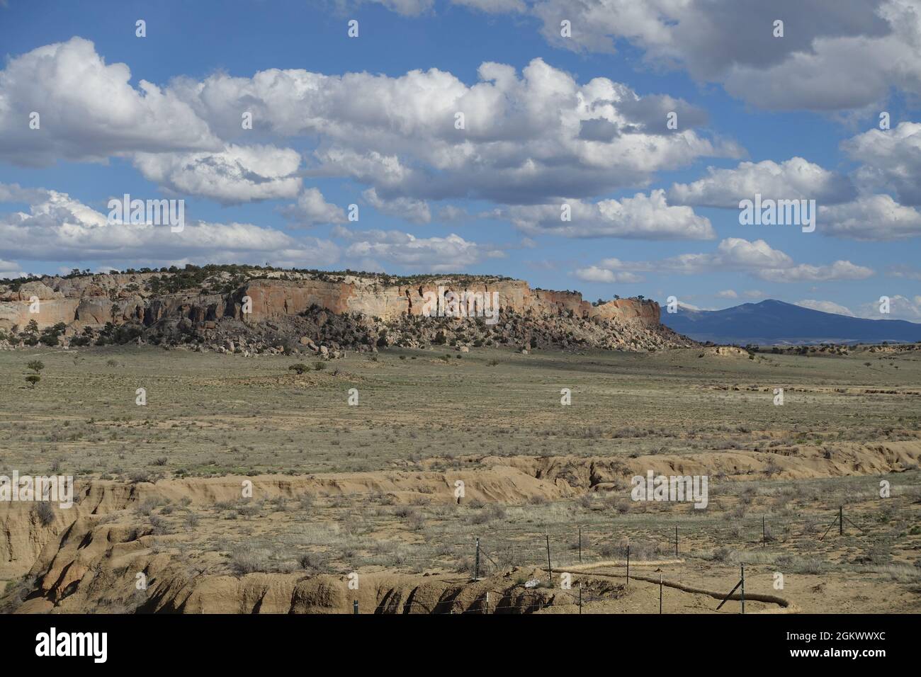 The dried arid lands of the South West offer a glimpse into natures ...