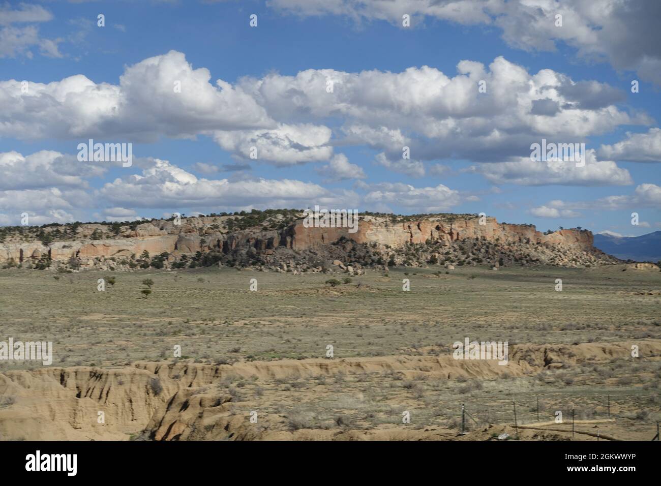 The dried arid lands of the South West offer a glimpse into natures ...