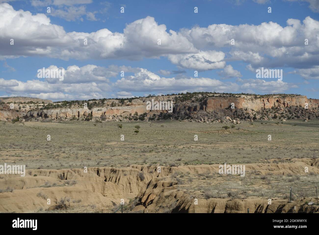 The dried arid lands of the South West offer a glimpse into natures ...