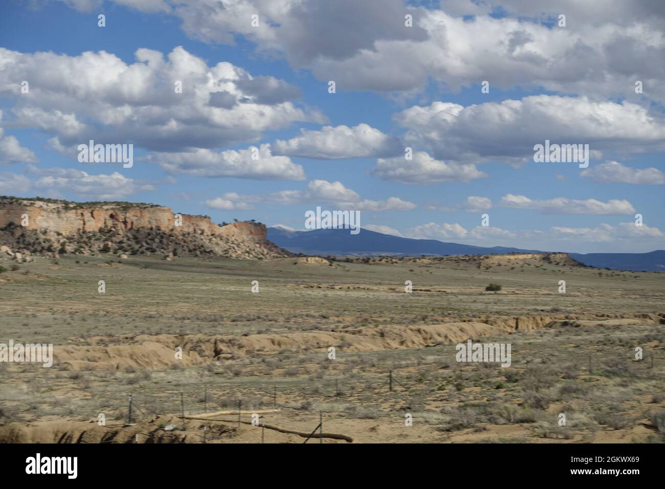 The dried arid lands of the South West offer a glimpse into natures ...