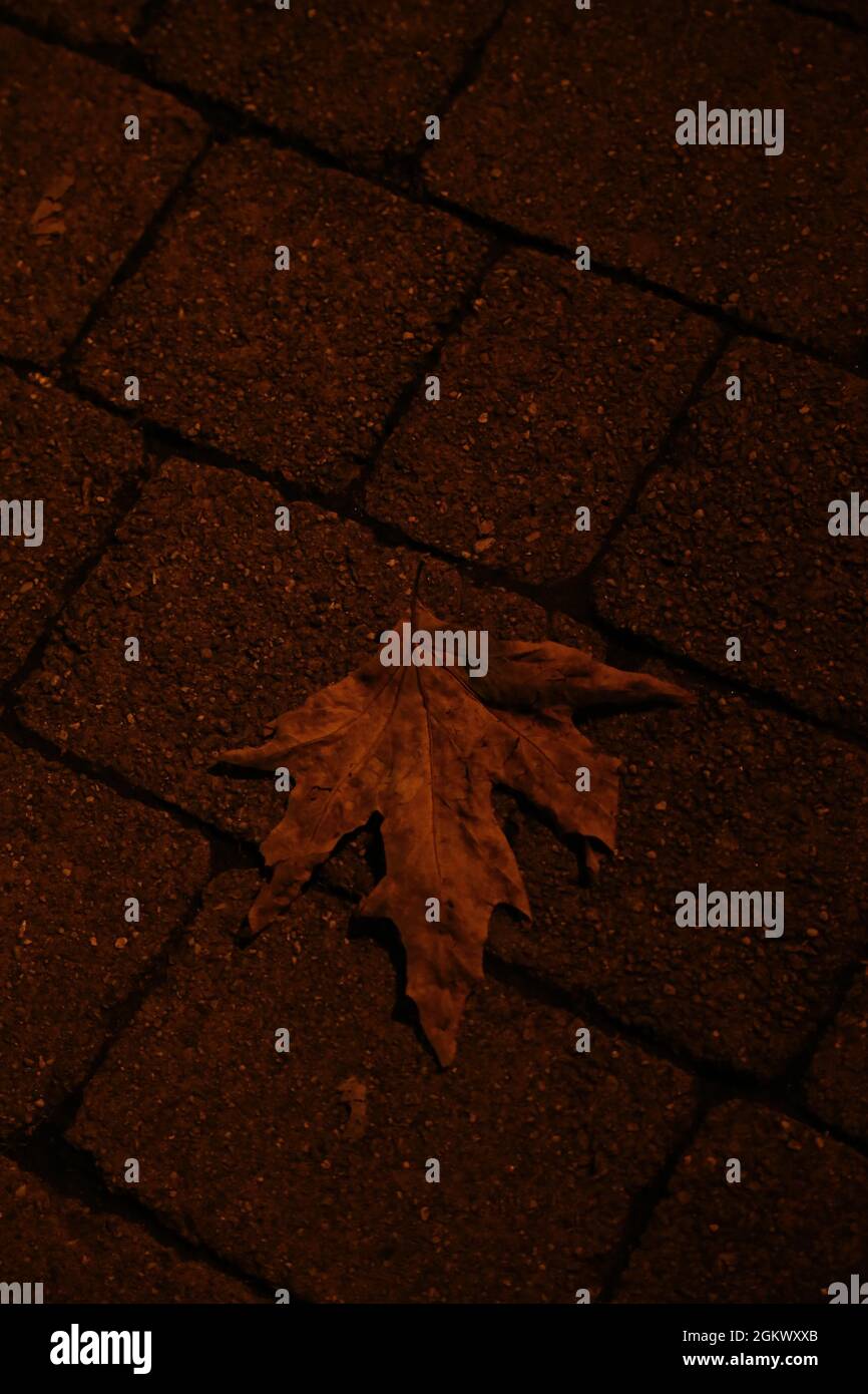 Sun strobe hi-res stock photography and images - Alamy