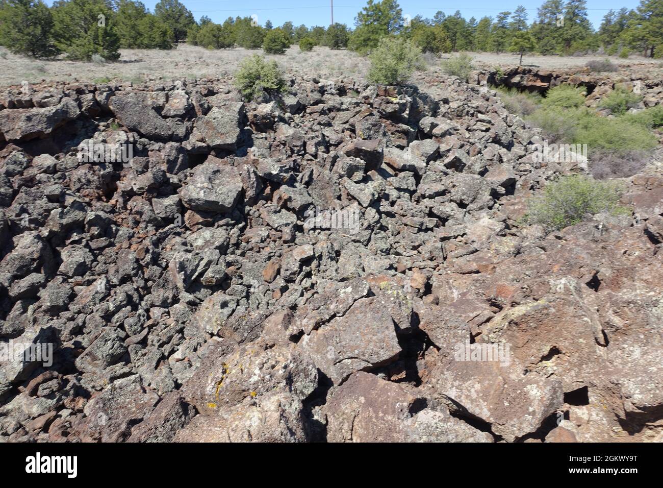 The dried arid lands of the South West offer a glimpse into natures ...