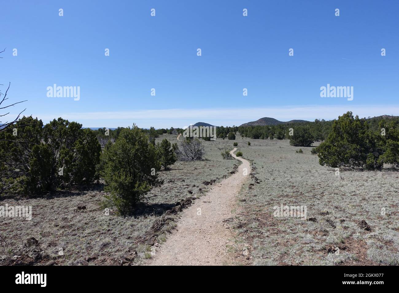 The dried arid lands of the South West offer a glimpse into natures ...