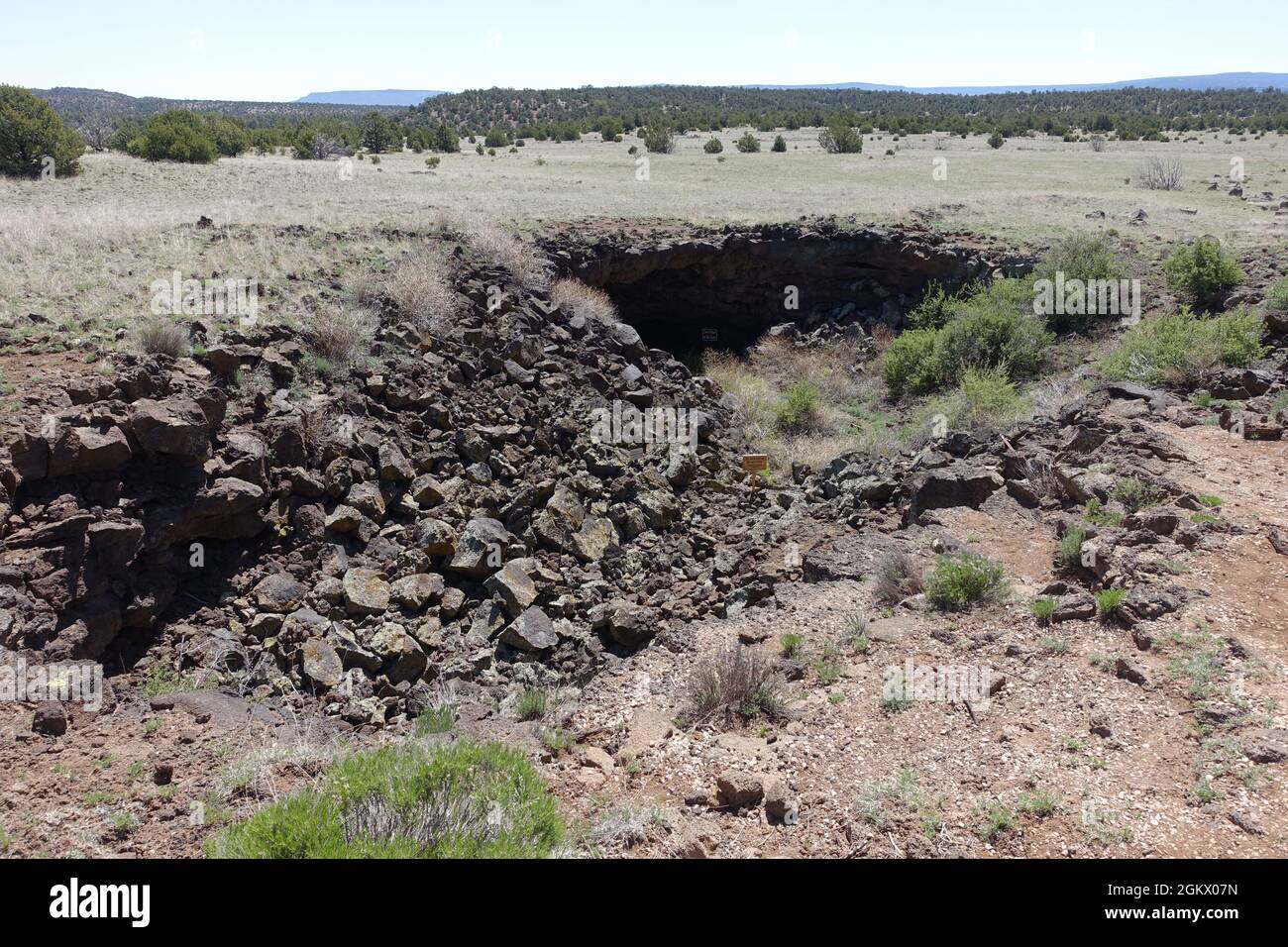 The dried arid lands of the South West offer a glimpse into natures ...