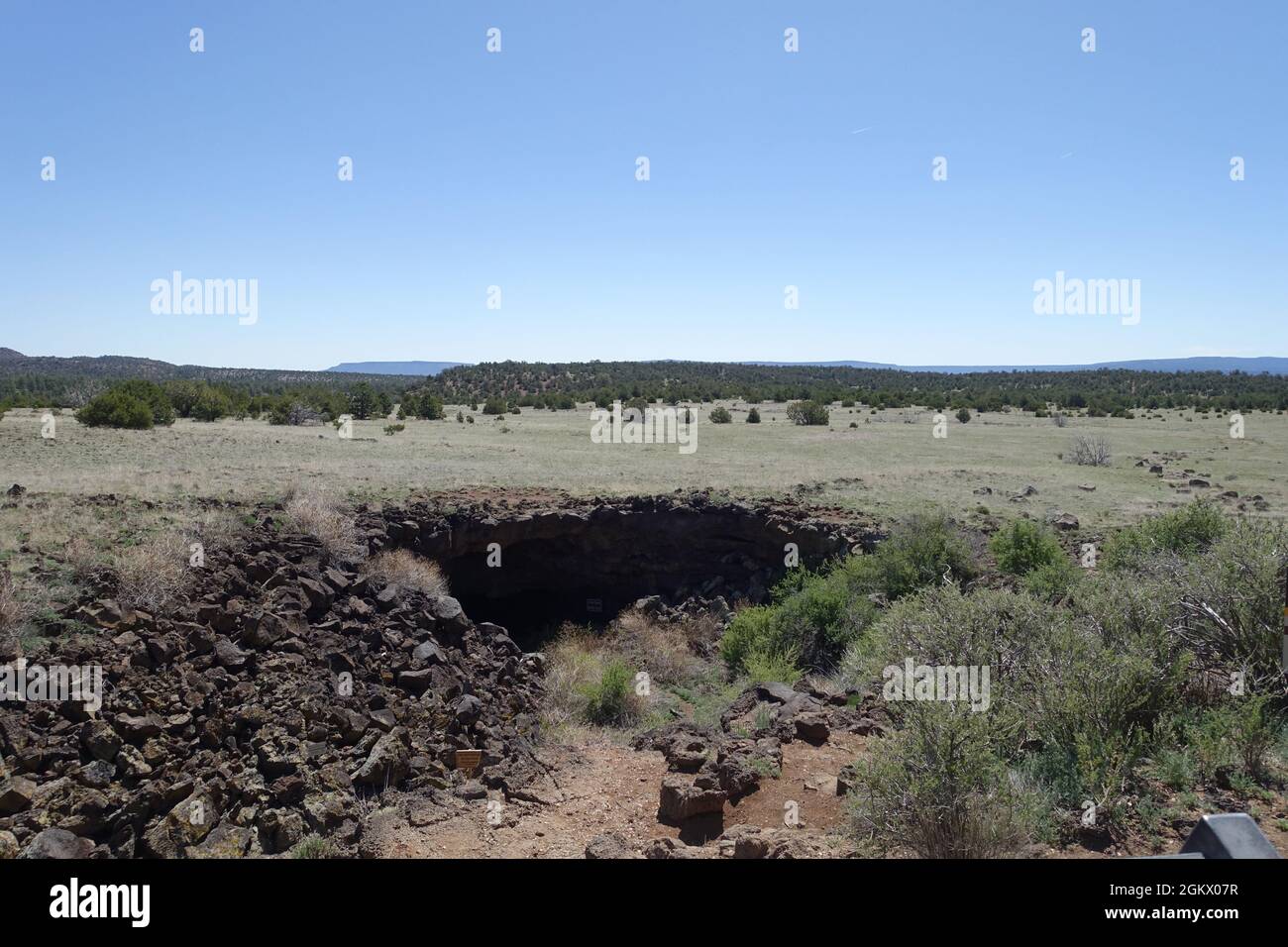 The dried arid lands of the South West offer a glimpse into natures ...