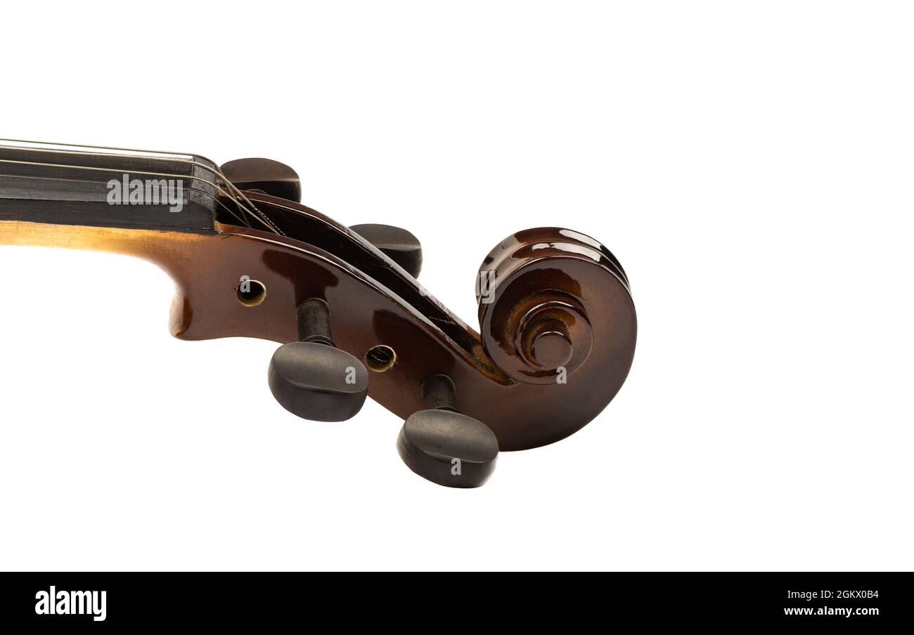 Side view of the scroll and pegs of a violin on a white background ...