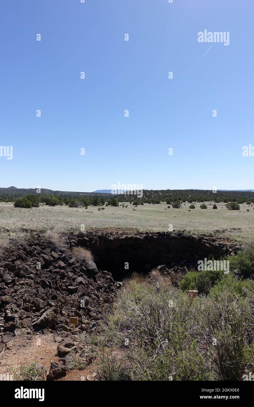 The dried arid lands of the South West offer a glimpse into natures ...
